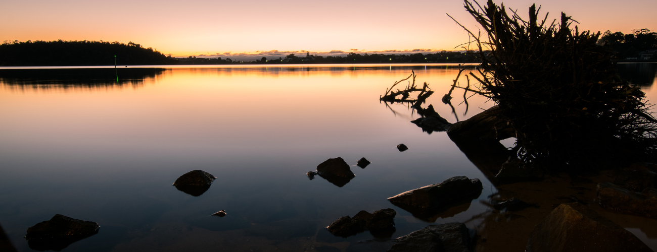 CCWA welcomes funding to help protect Swan River Estuary - Conservation ...