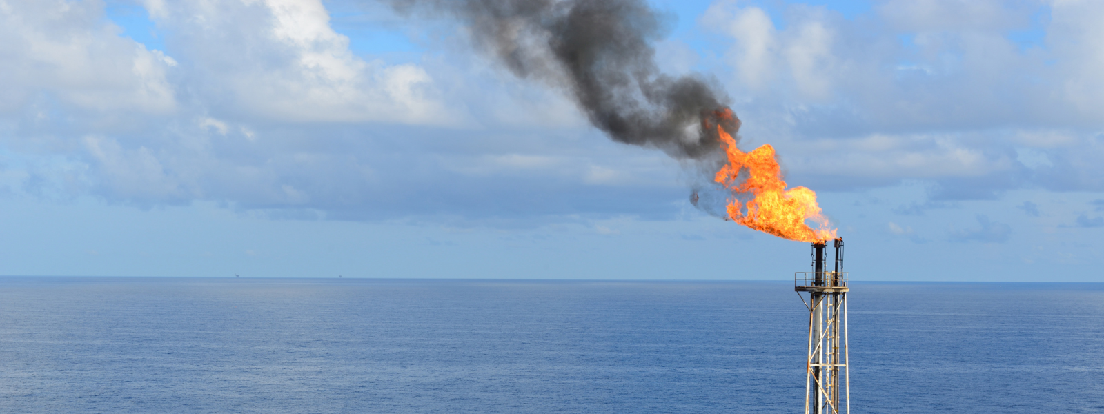 Woodside’s pollution and profit in the spotlight in Perth, on day of ...