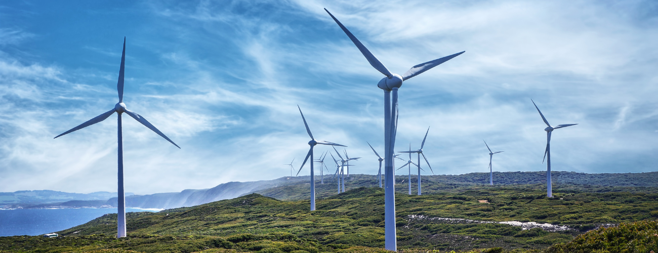 CCWA welcomes new Australian Net-Zero Authority to deliver on ‘massive ...