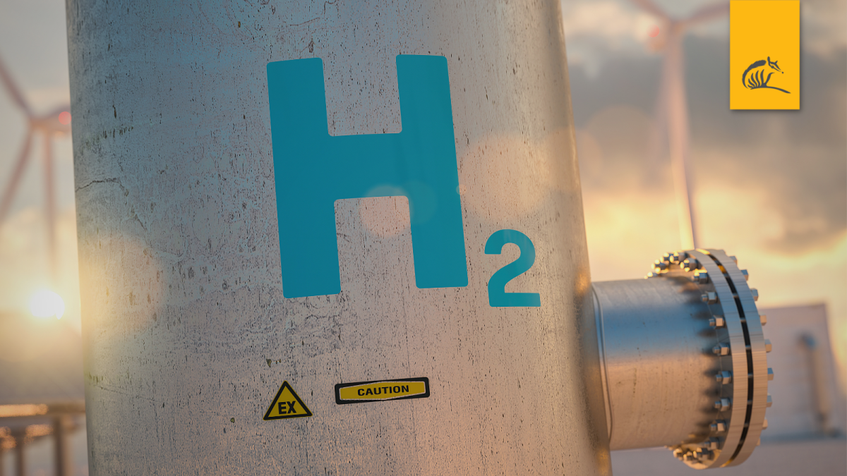 Just how ‘green’ is Woodside’s latest H2 announcement? - Conservation ...