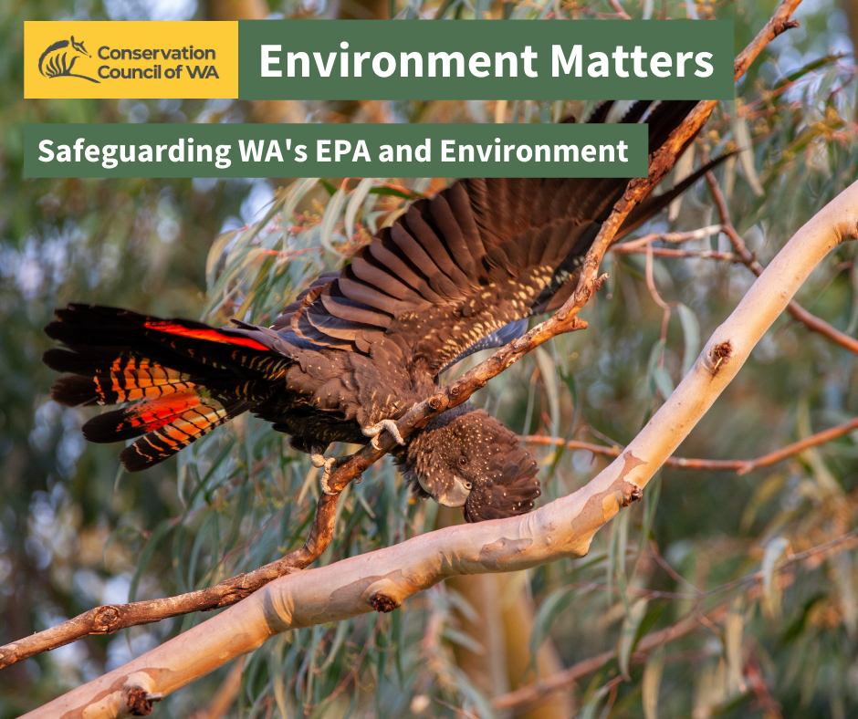 Environment Matters #1 2024 - Conservation Council of Western Australia ...