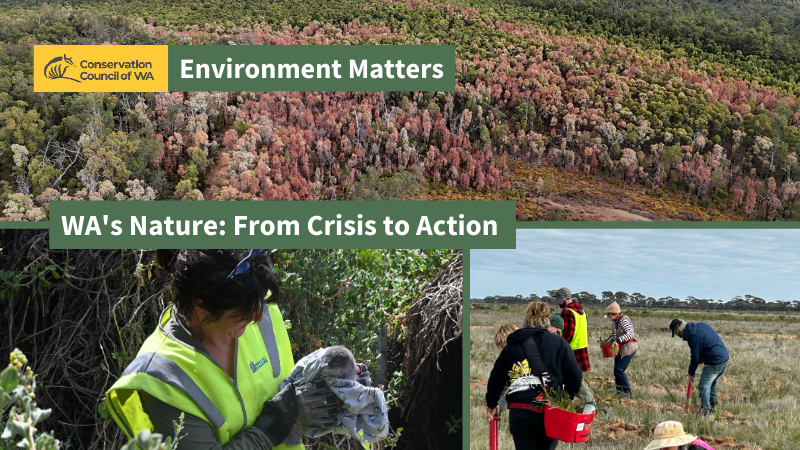 Environment Matters: WA's Nature - From Crisis to Action - Conservation ...