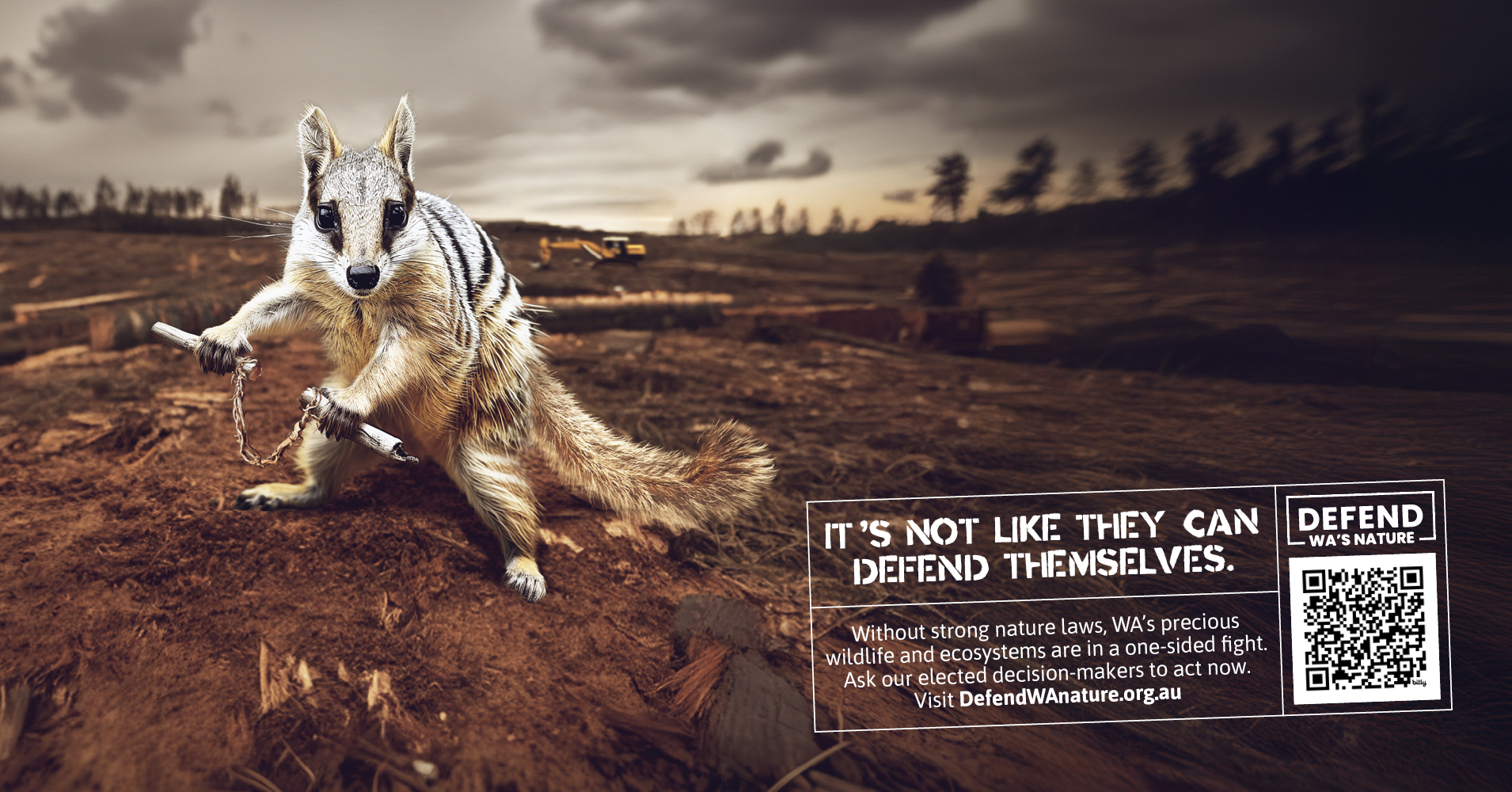 Conservation sector launches major creative communications campaign to ...