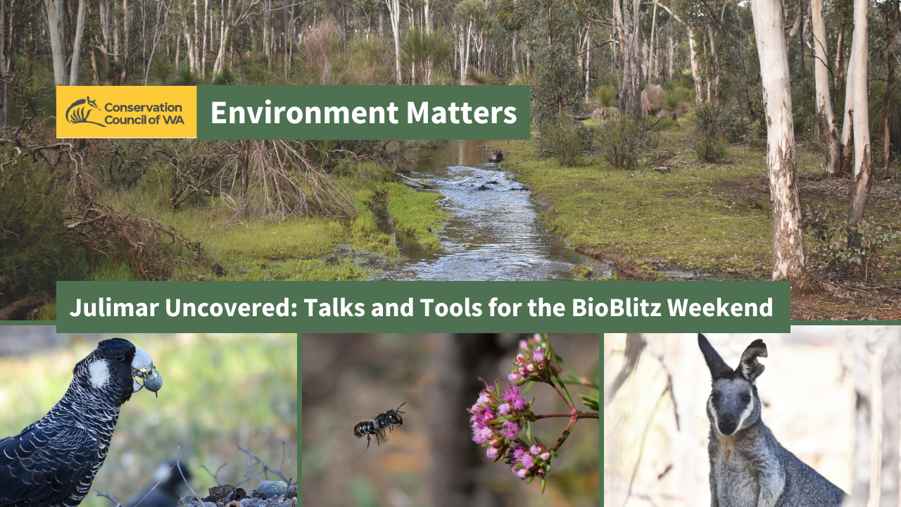 Environment Matters # 4 - Conservation Council of Western Australia