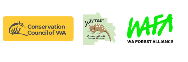 Unveiling Julimar's Hidden Riches: 2025 Julimar Forest Bioblitz
