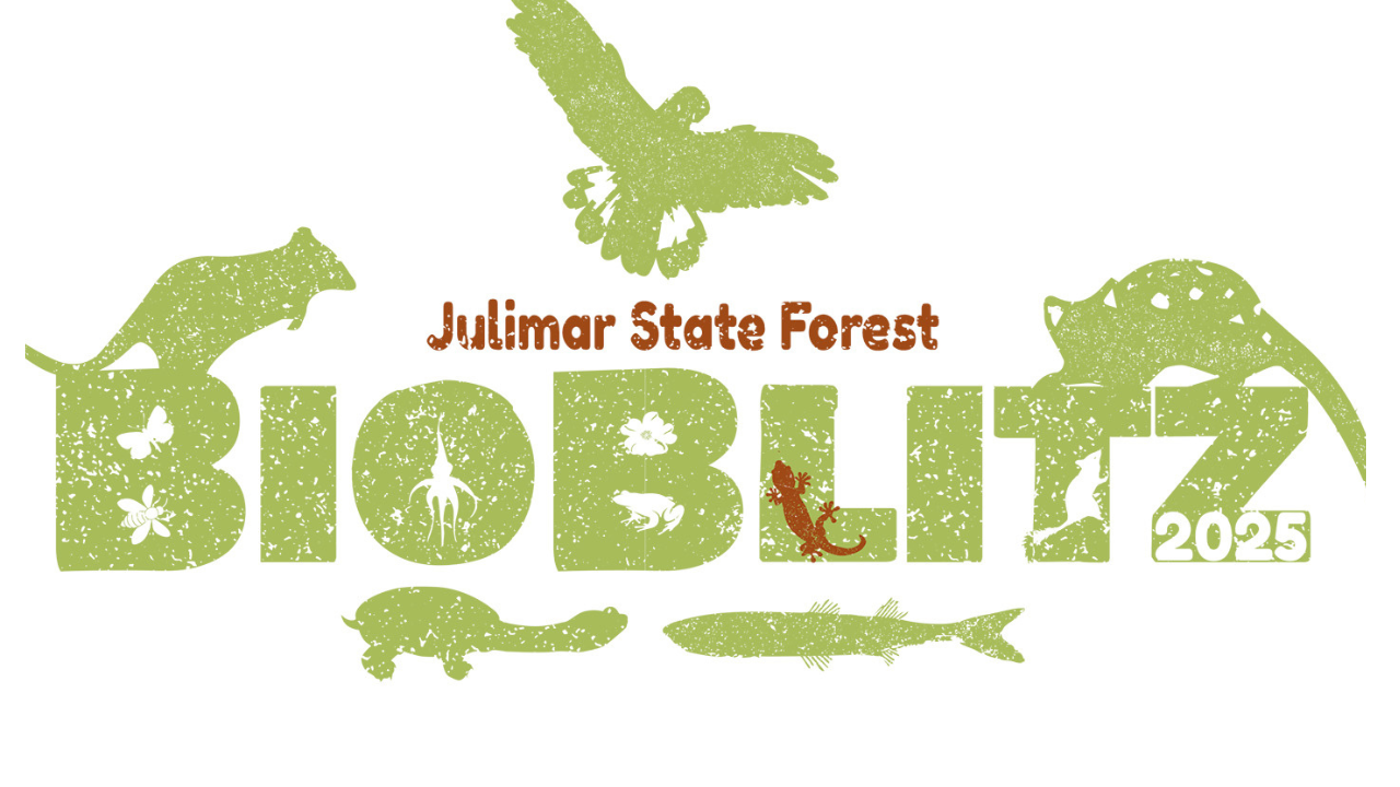 Unveiling Julimar's Hidden Riches: 2025 Julimar Forest Bioblitz