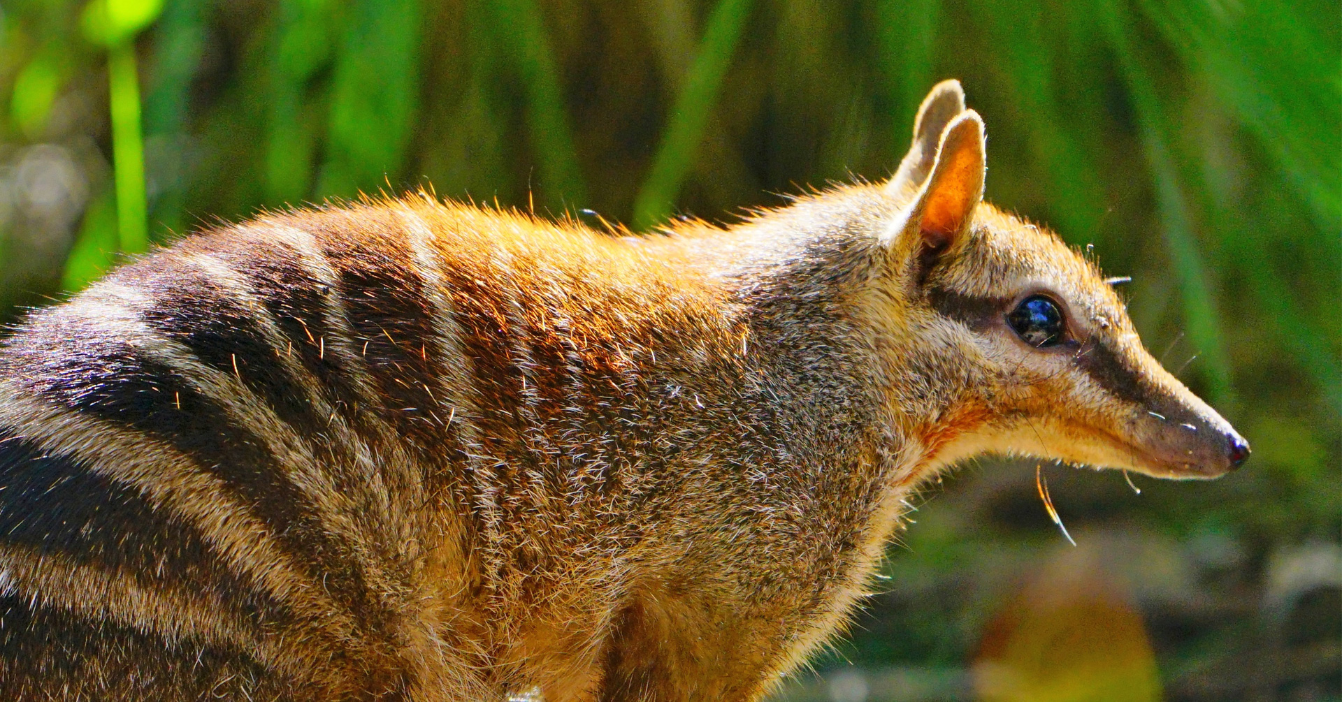 CCWA Strategic Plan 2025 - 2028