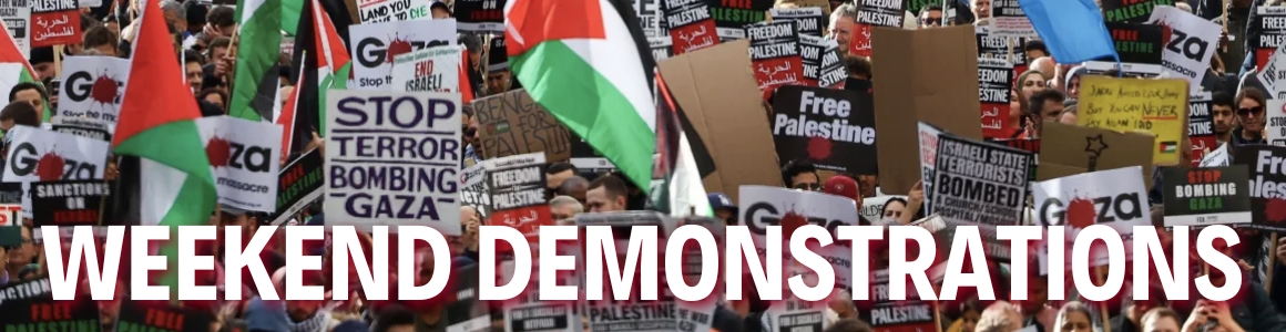 Weekend demonstrations, events & actions - CJPME - English