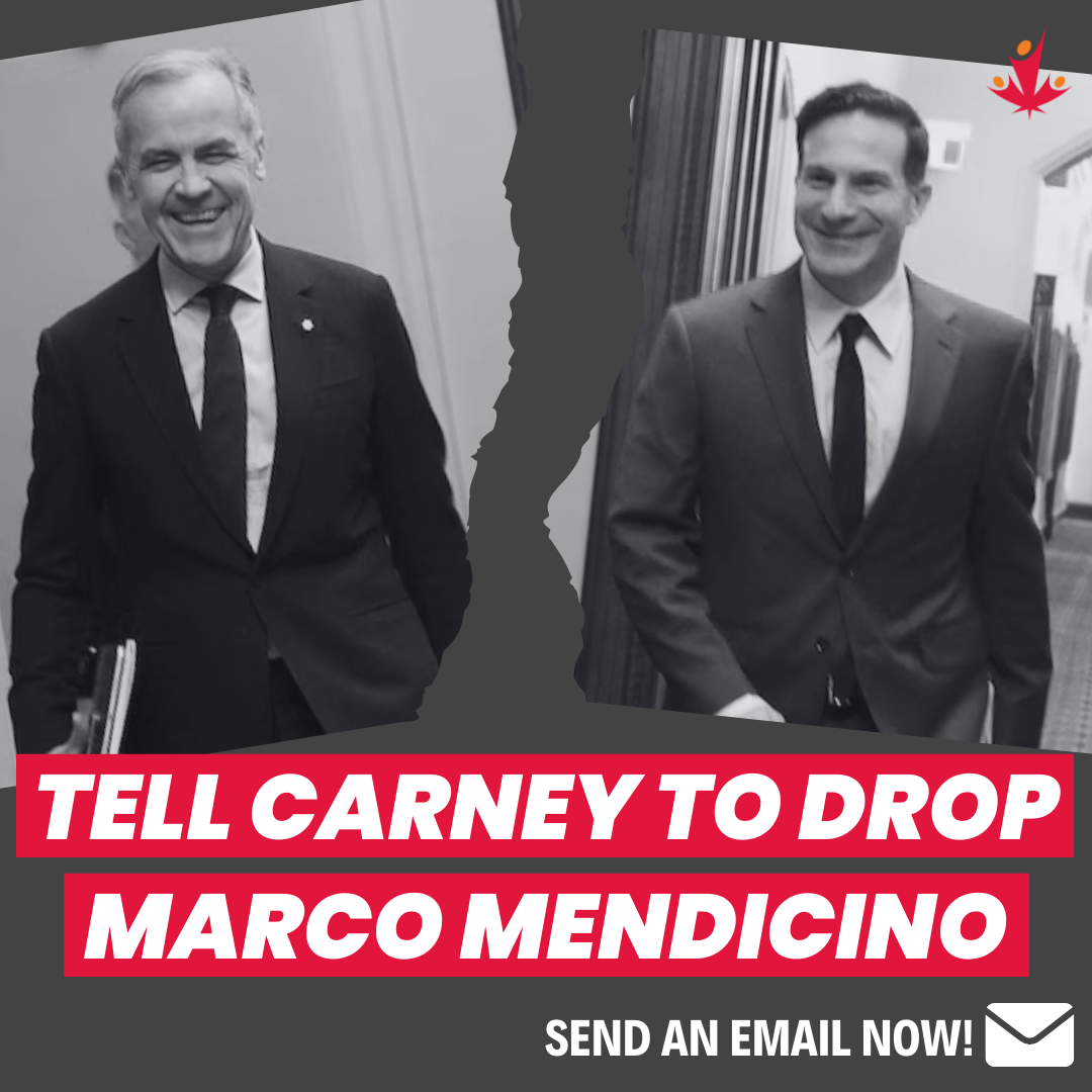 Tell Carney to Drop Marco Mendicino