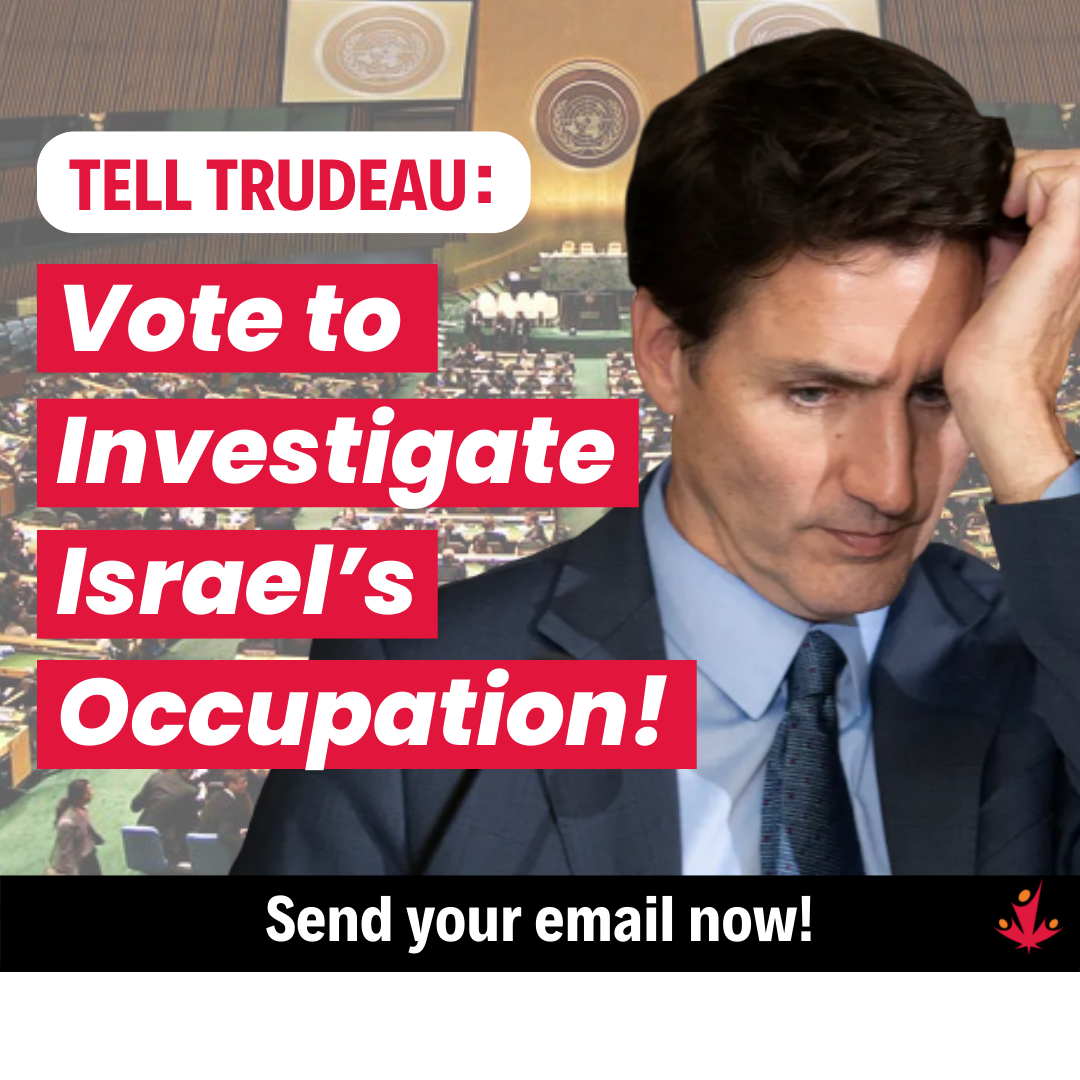 Tell Trudeau: Vote to Investigate Israel’s Occupation! - CJPME - English