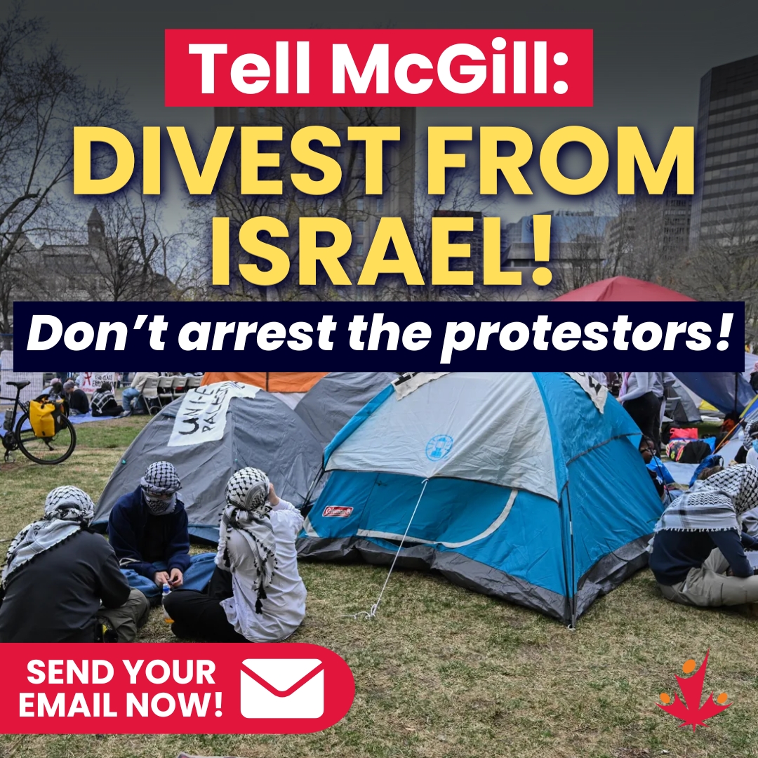 Tell Concordia and McGill: Listen to your students and divest from Israel!