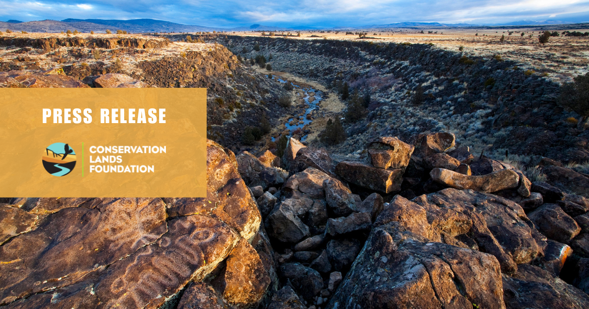 Nevada Blm Maps Public Lands