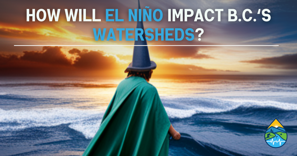 What does El Niño mean for B.C.'s watersheds? - CodeBlueBC