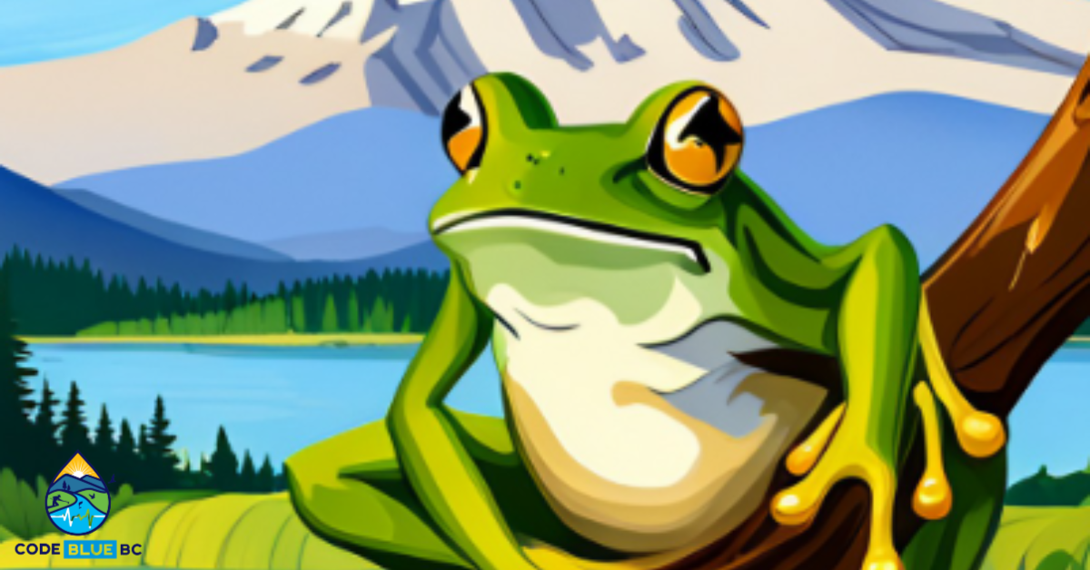 Chorus Frog - CodeBlueBC