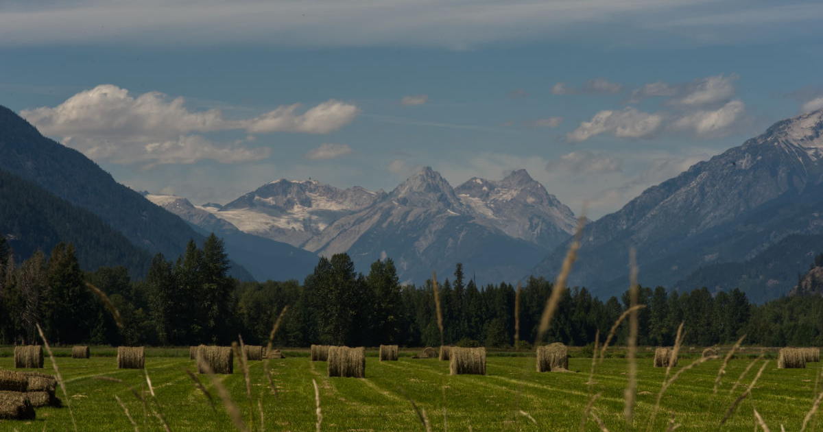 BC Farmers Seek Solutions As Drought Looms - CodeBlue BC