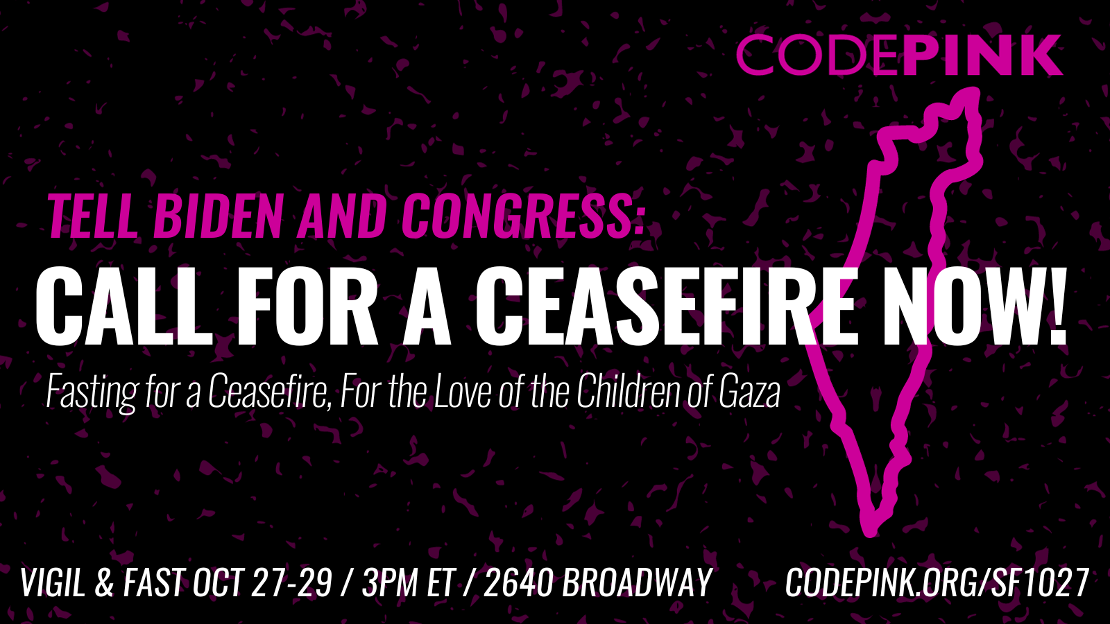 Tell Biden and Congress: Call for a Ceasefire Now! - CODEPINK - Women ...