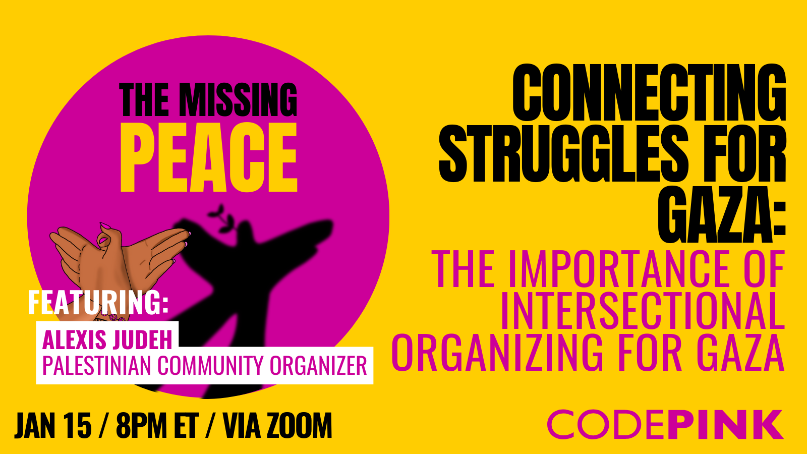 The Missing Peace: Connecting Struggles: The Importance of ...