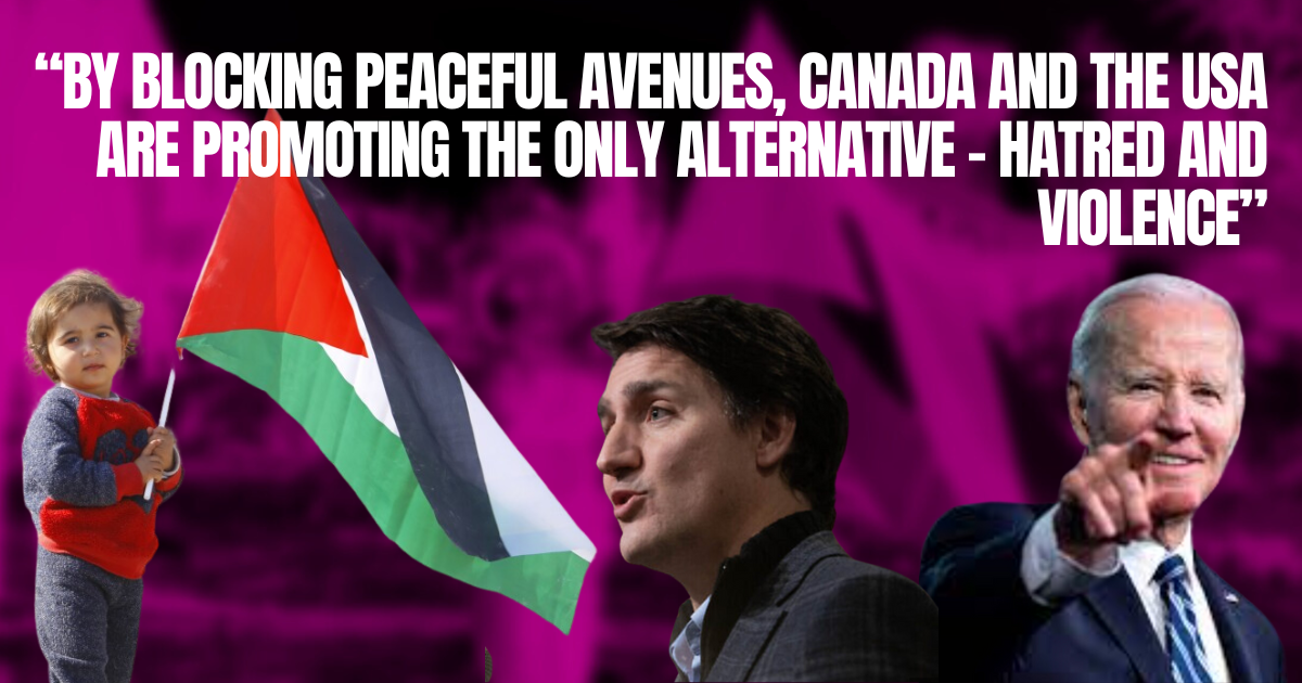 When Will We Stop Fueling An Endless Cycle Of Hatred And Violence Codepink Women For Peace
