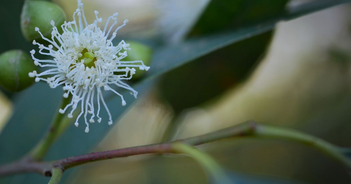 November 2025 news - Common Grace