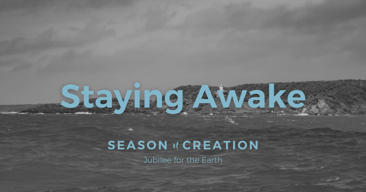 Staying Awake - Common Grace