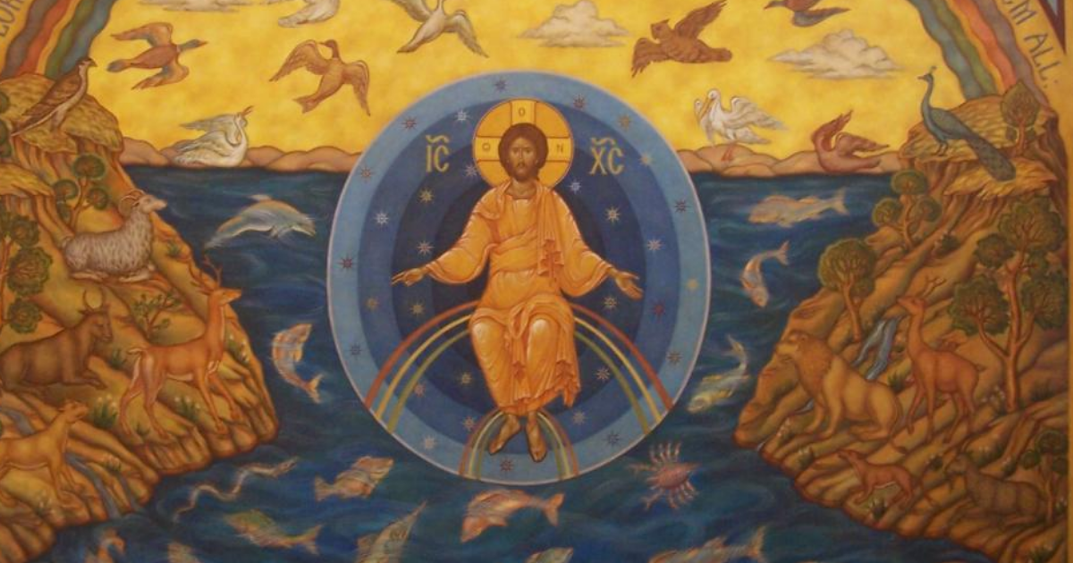 Reflections on Francis Day - Common Grace