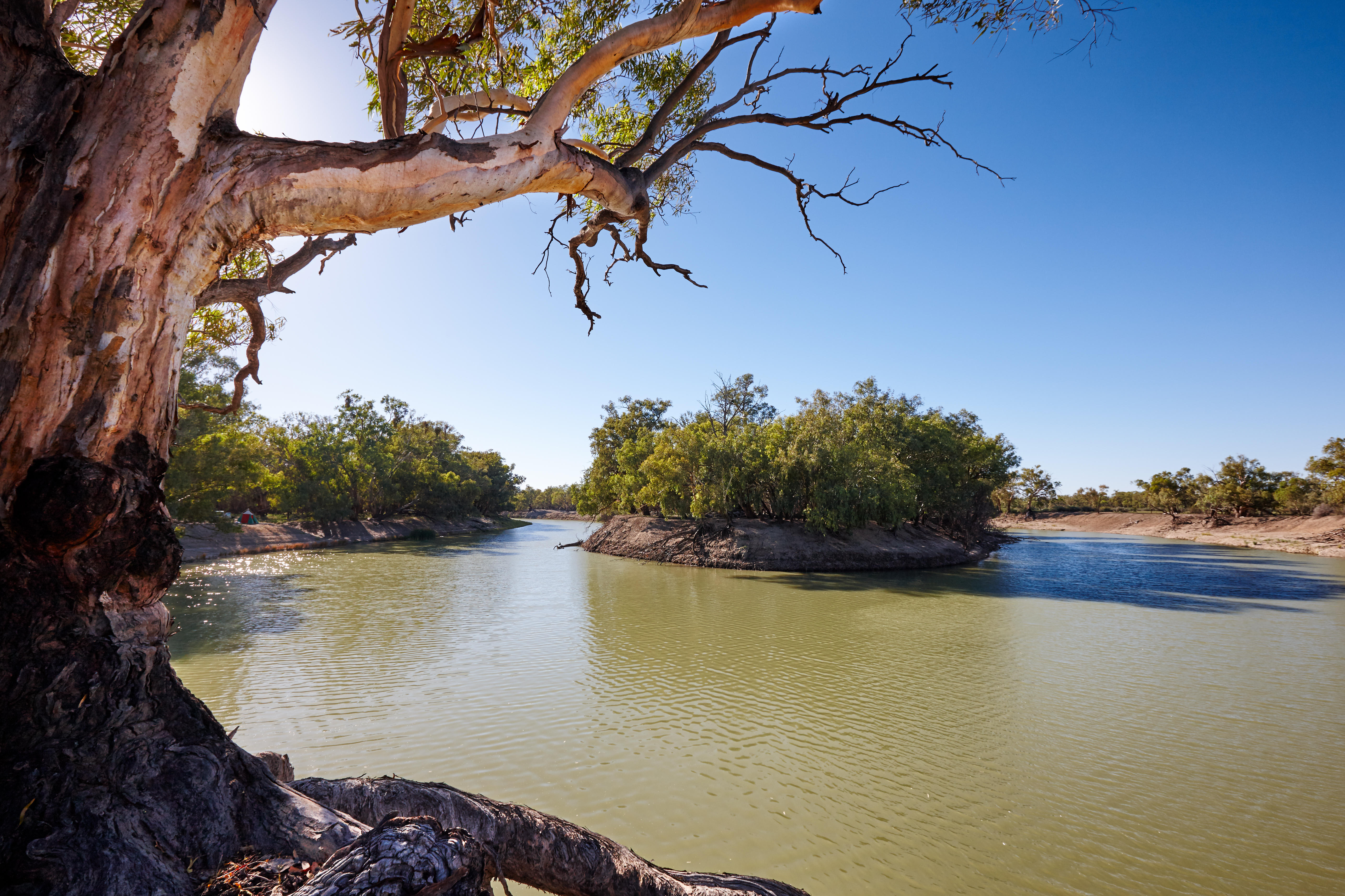 Save the Murray-Darling - Conservation Council SA