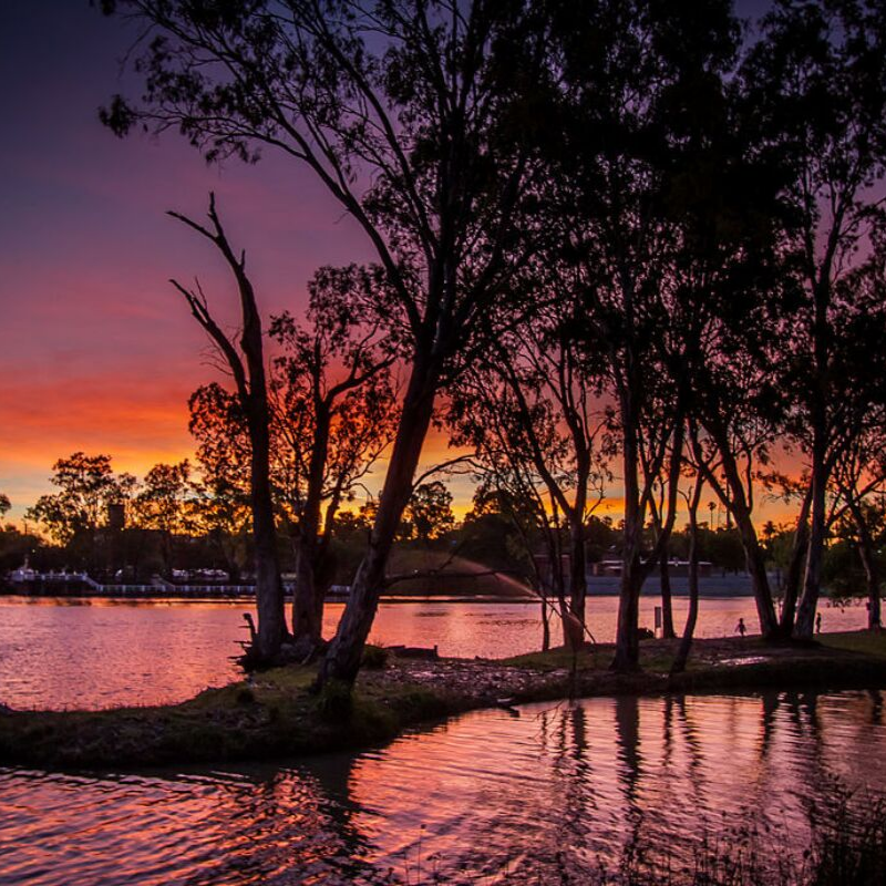 Save the Murray-Darling - Conservation Council SA