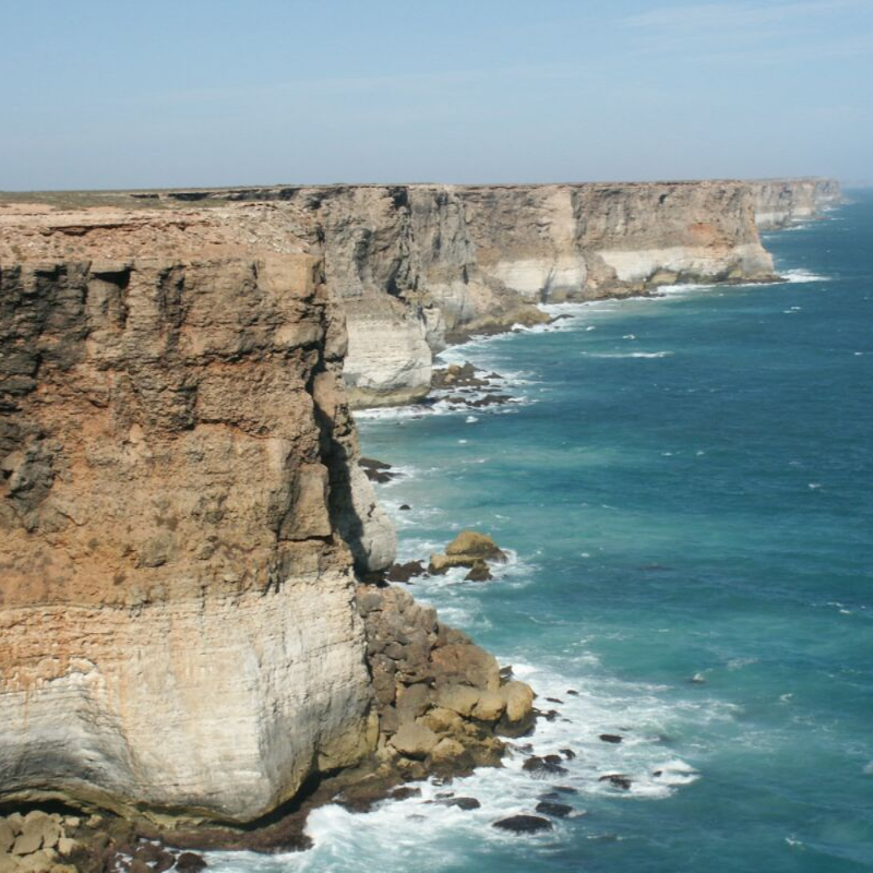 Protecting Nature - Conservation Council SA