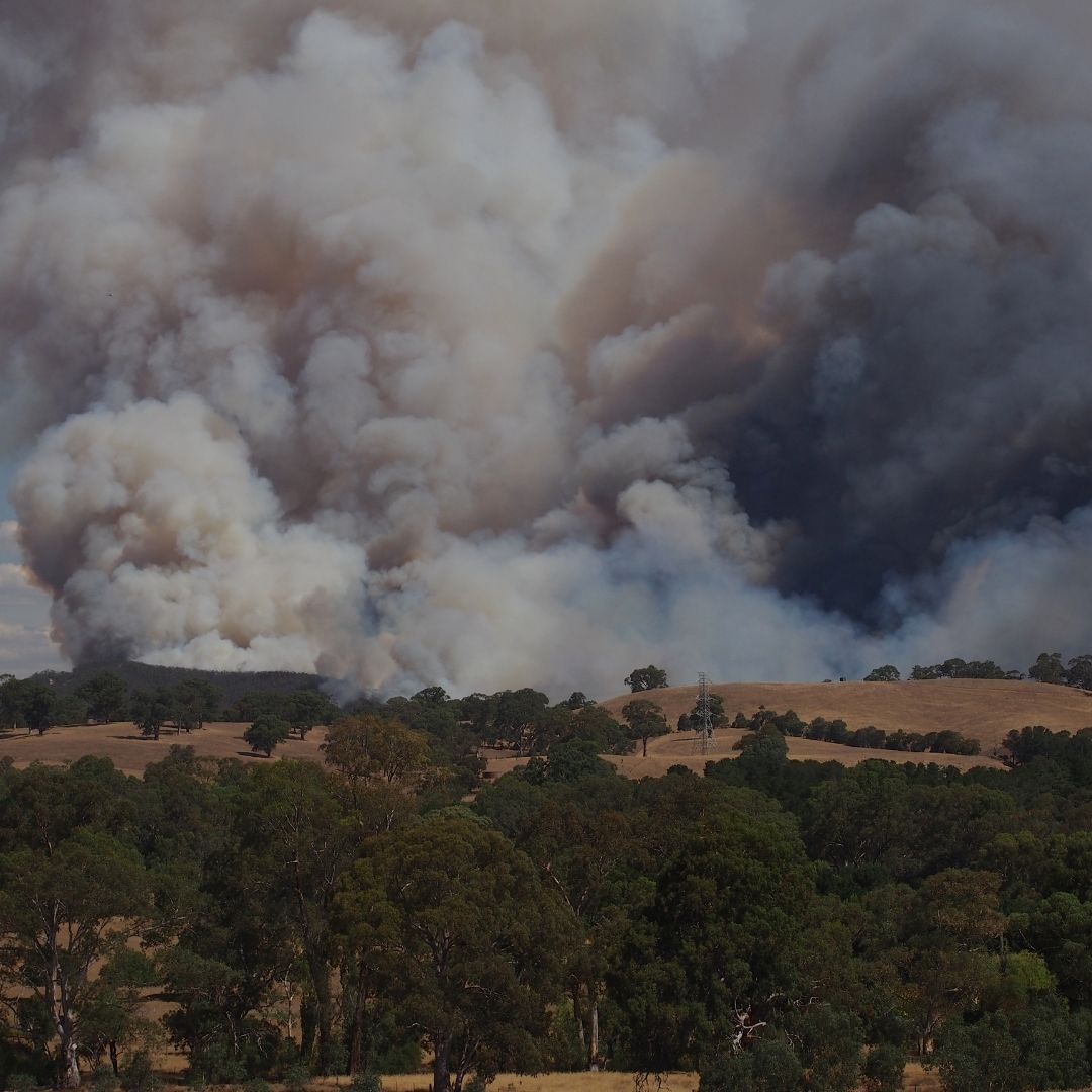 South Australian 2019-2020 Bushfire Review - Conservation Council SA