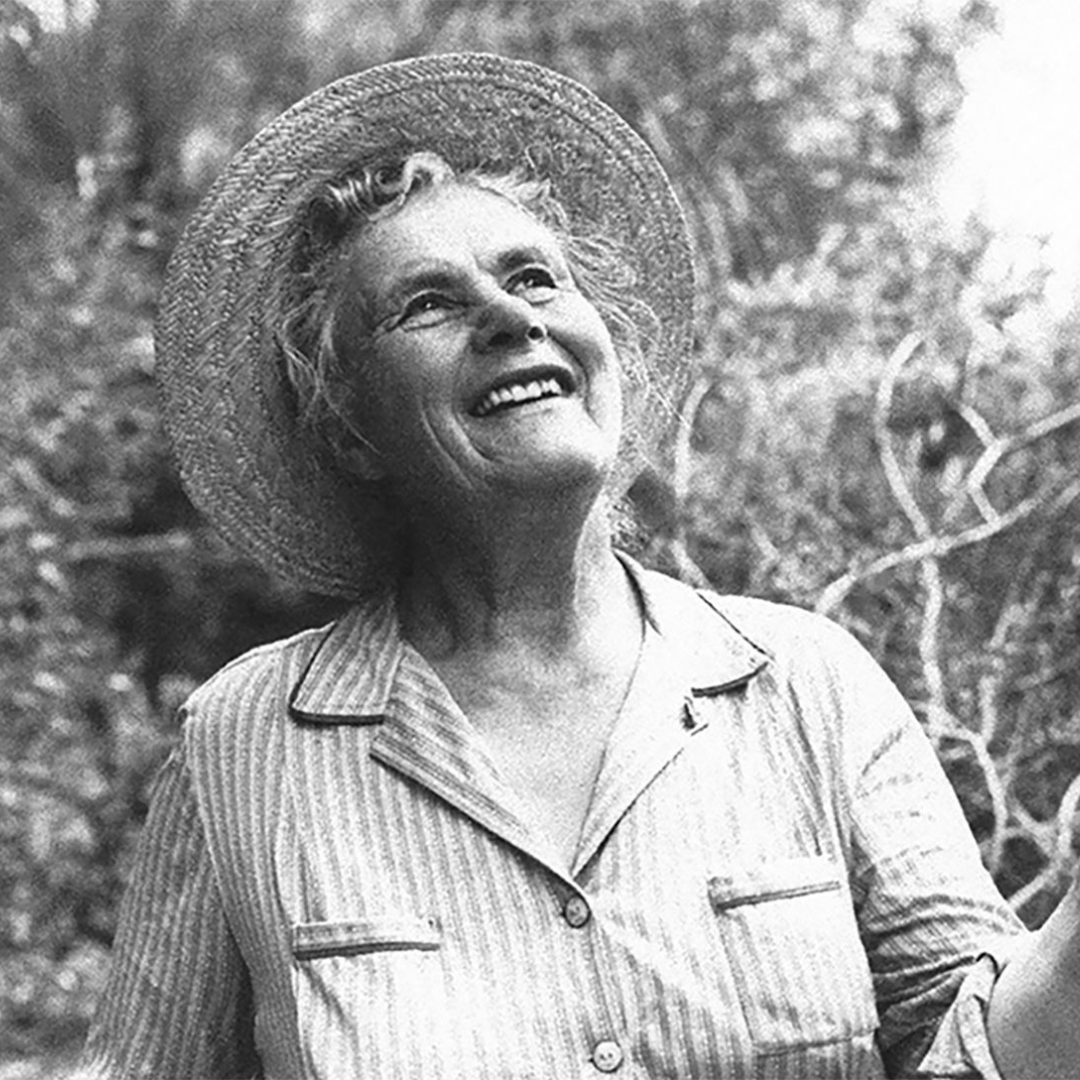 Betty Westwood OAM - SA Environment Awards