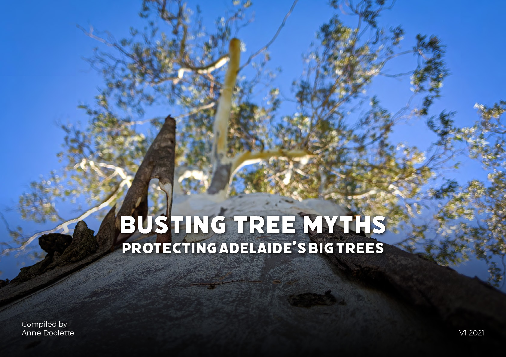 Adelaide's trees - Conservation Council SA