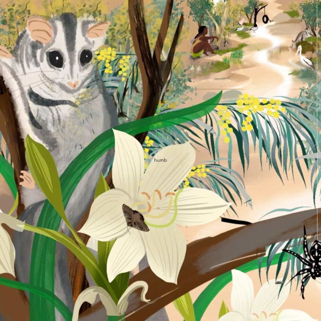 A new vision to revive our rivers - Conservation Council SA