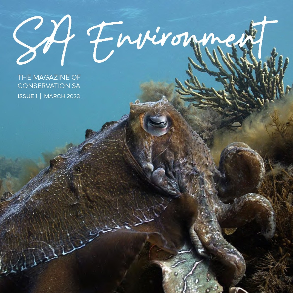 New SA Environment Magazine launched - Conservation Council SA