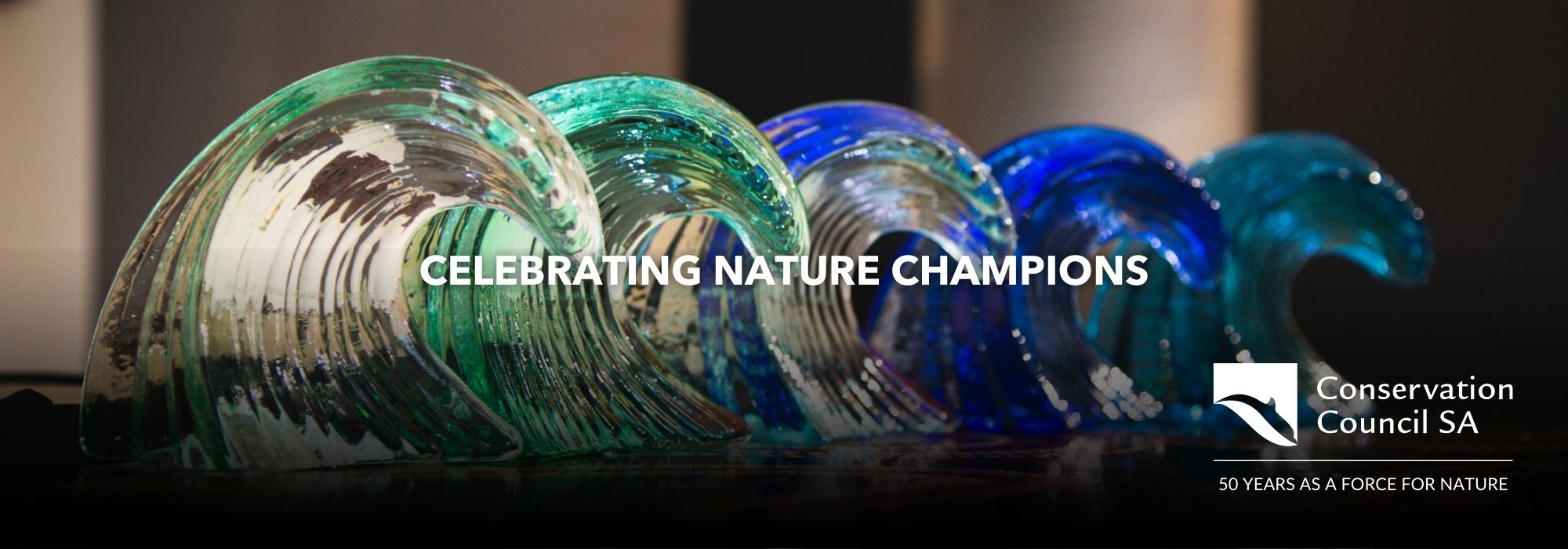 Conservation Council SA