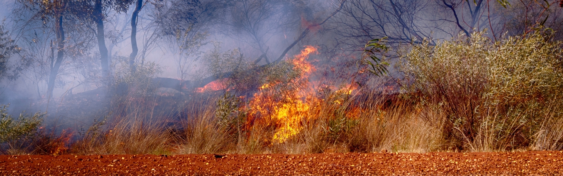 Fire Management - Conservation Council SA