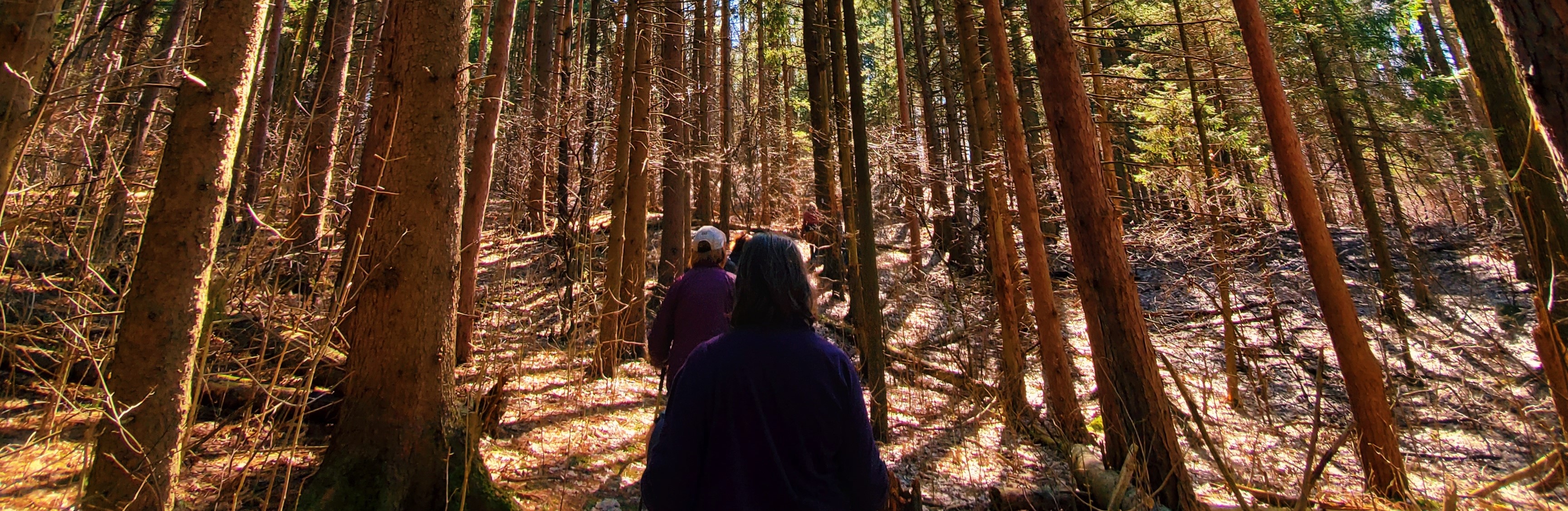 Crescent Trail Hiking Association