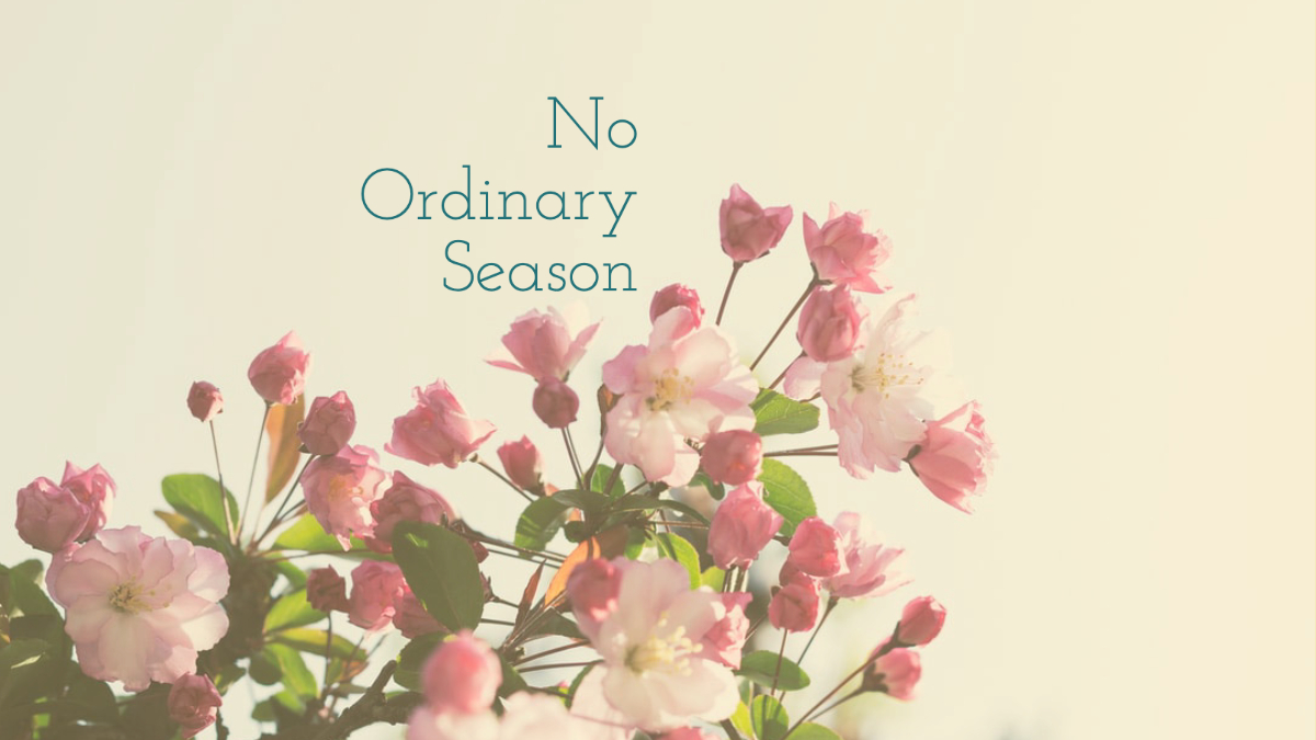No Ordinary Season - A Pastoral Note from Jenny - Sydney Presbytery