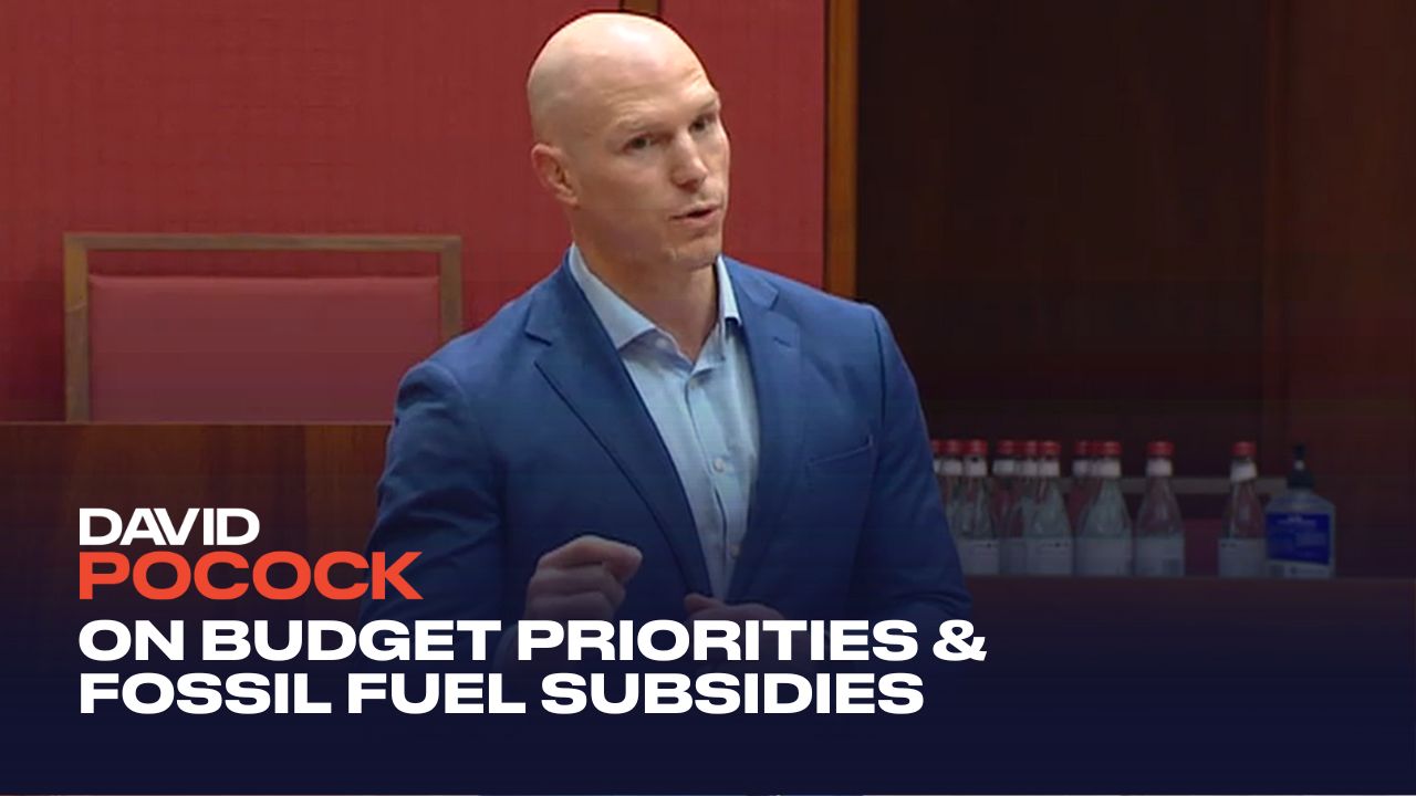 On Budget Priorities and Fossil Fuel Subsidies - David Pocock