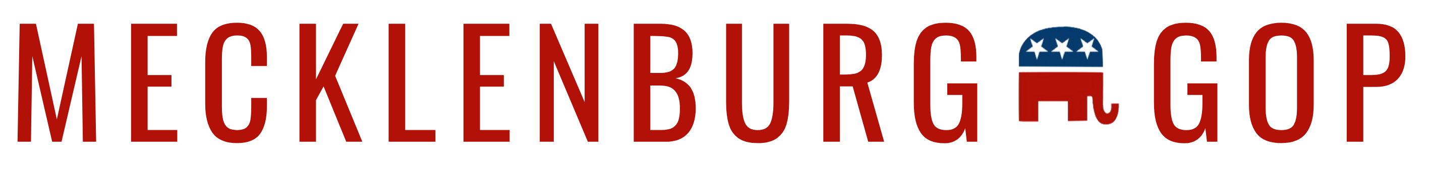 May 1, 2023 - Executive Committee Meeting - Mecklenburg County ...