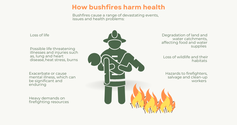 Bushfires and Health Fact Sheet - Doctors for the Environment Australia