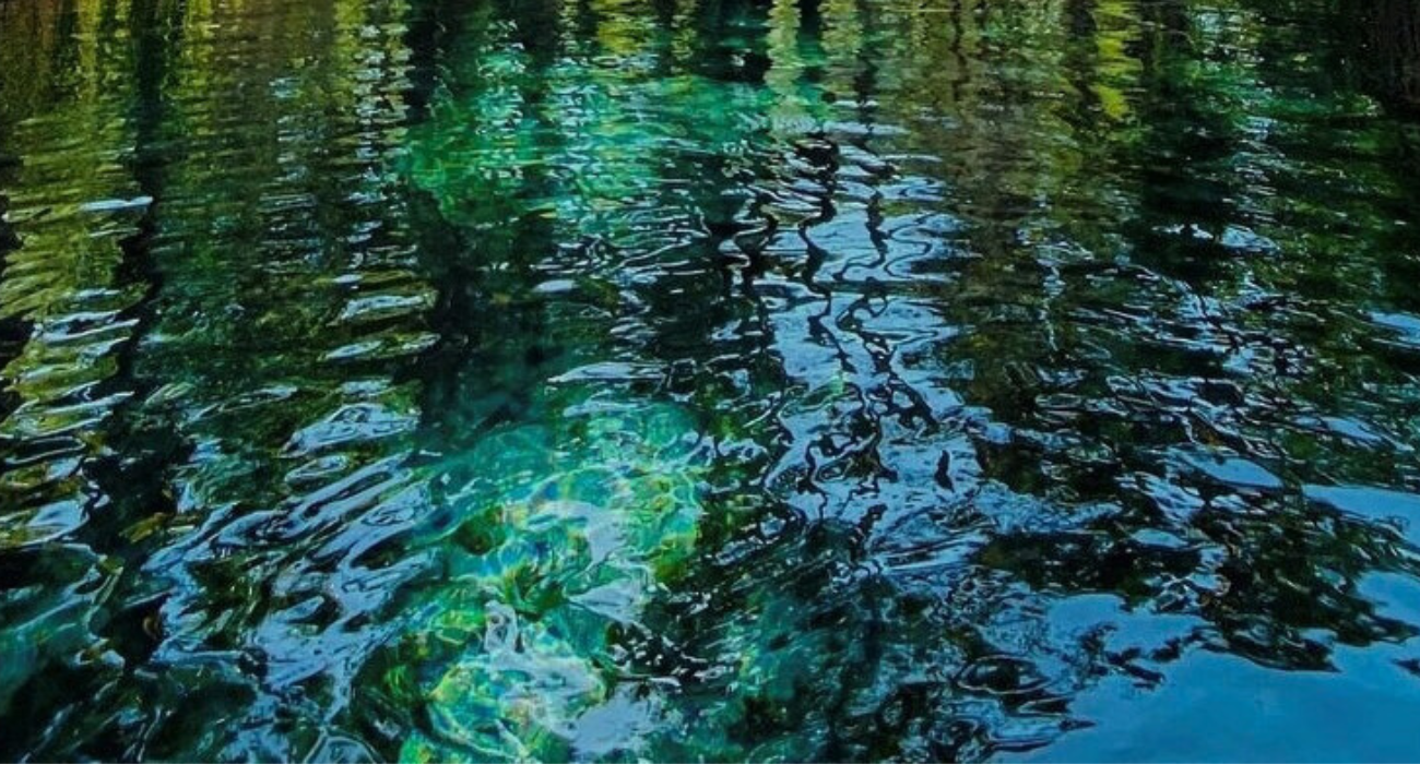Submission on National Water Reform - Environment Centre NT