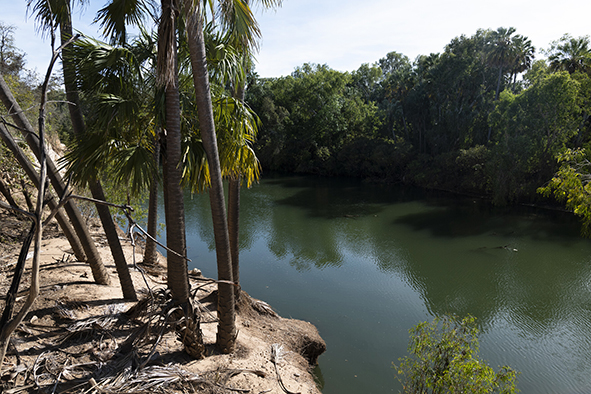 ECNT submission on Larrimah Farms Pty Ltd – application for a water ...