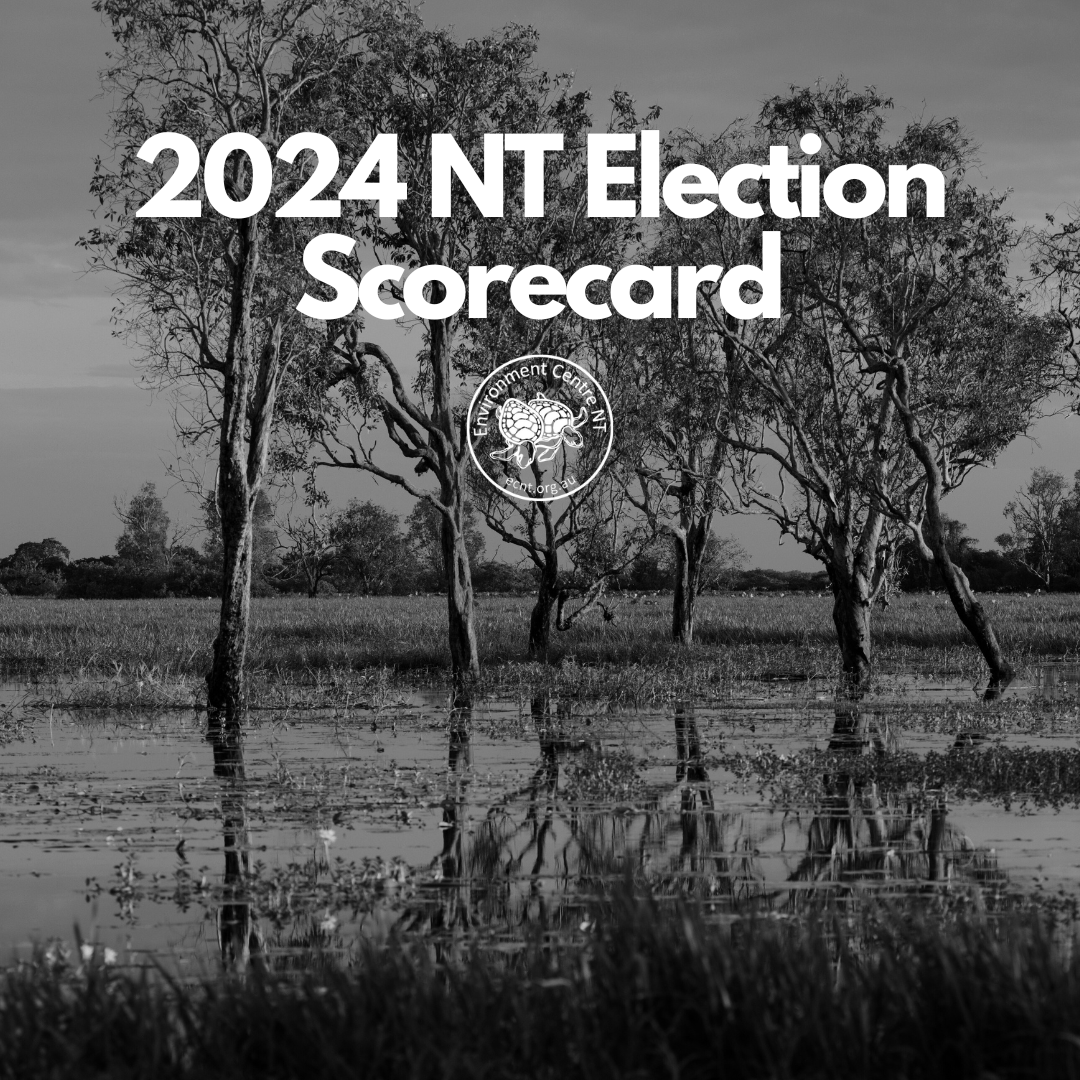 MEDIA RELEASE: ECNT’s 2024 election scorecard on environment policy ...