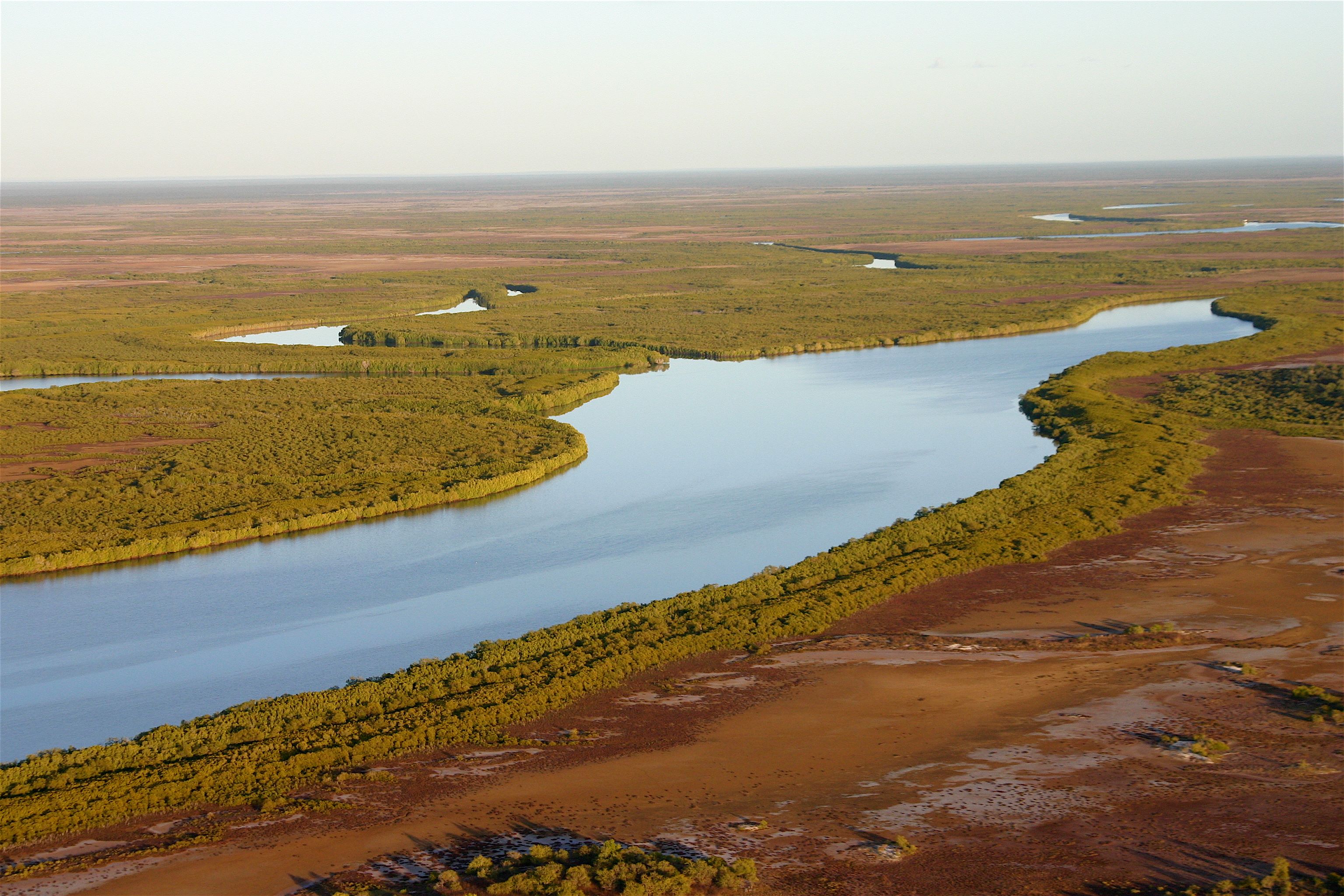 Pandanus August 2024 - Environment Centre NT