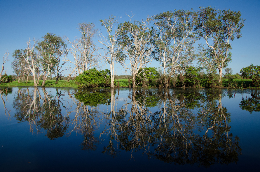 MEDIA RELEASE: “We are fighting to protect our water”: Environment ...