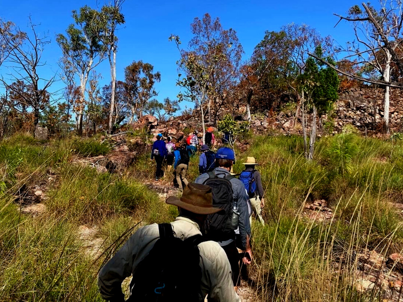 Volunteer - Environment Centre NT