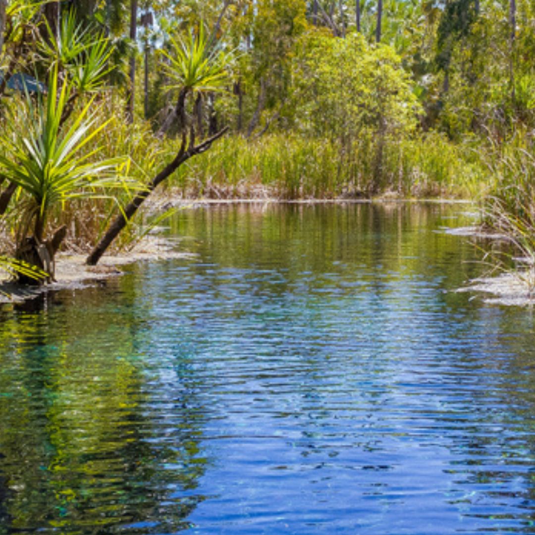 Environment groups slam CLP Government’s decision to scrap funding ...