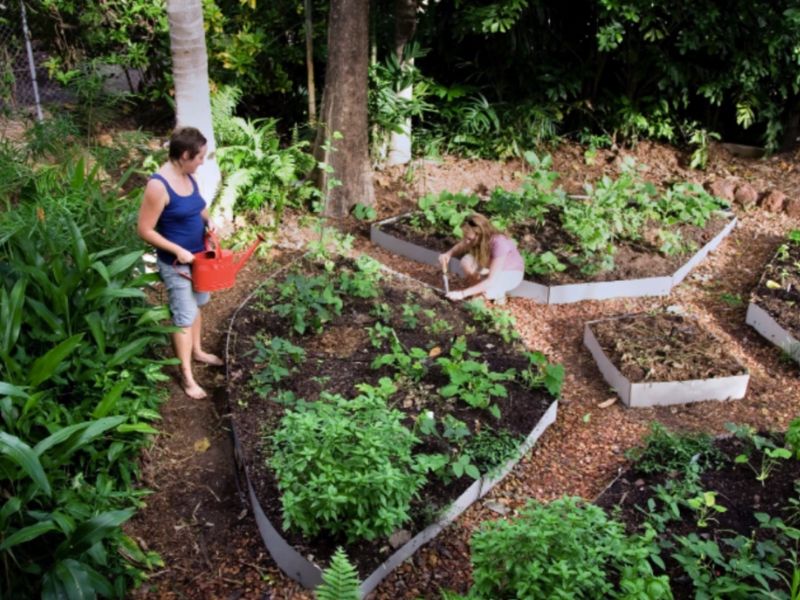 Community gardens - Top End Darwin
