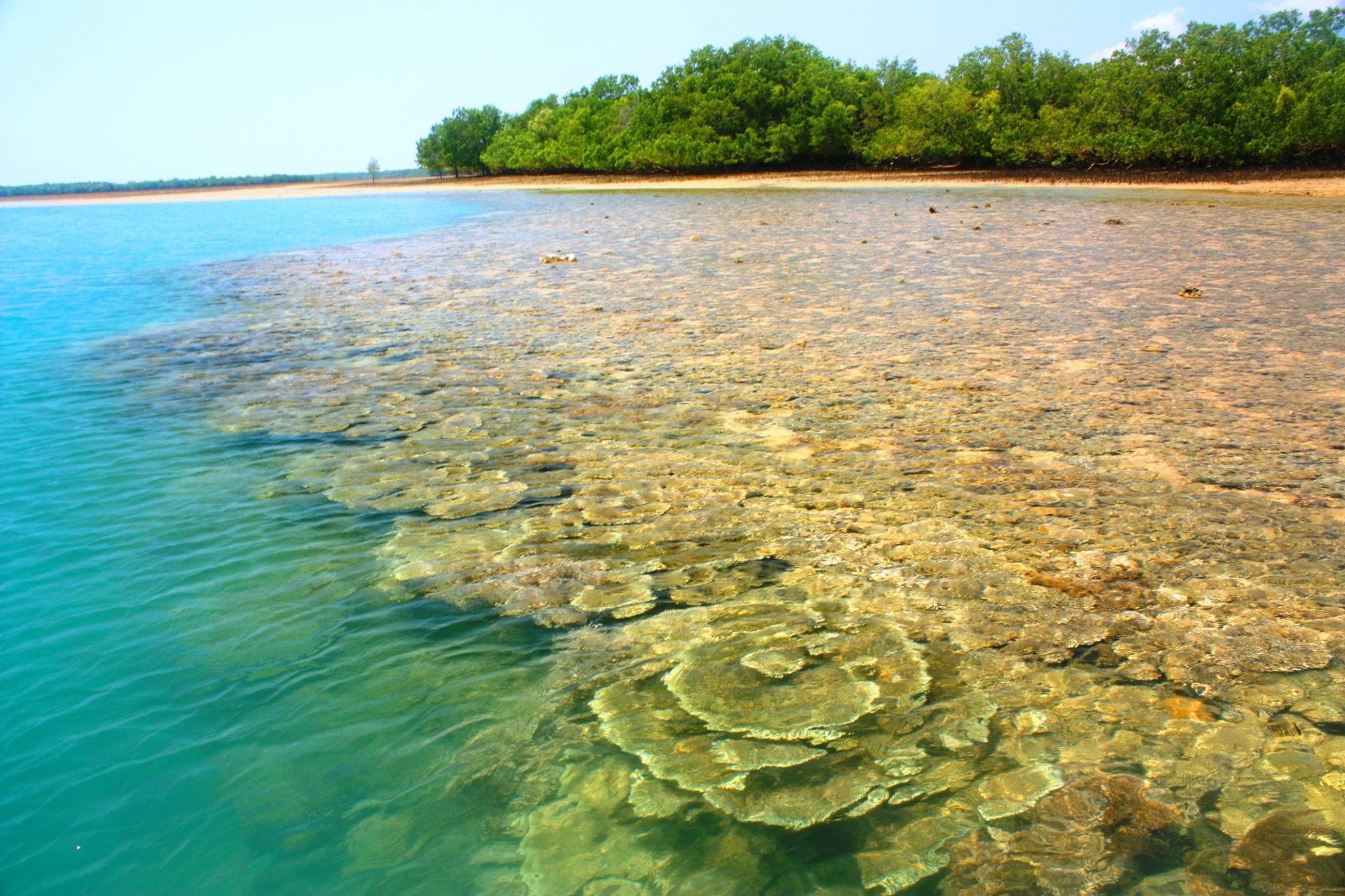 Planning for Gunn Point Peninsula - Environment Centre NT