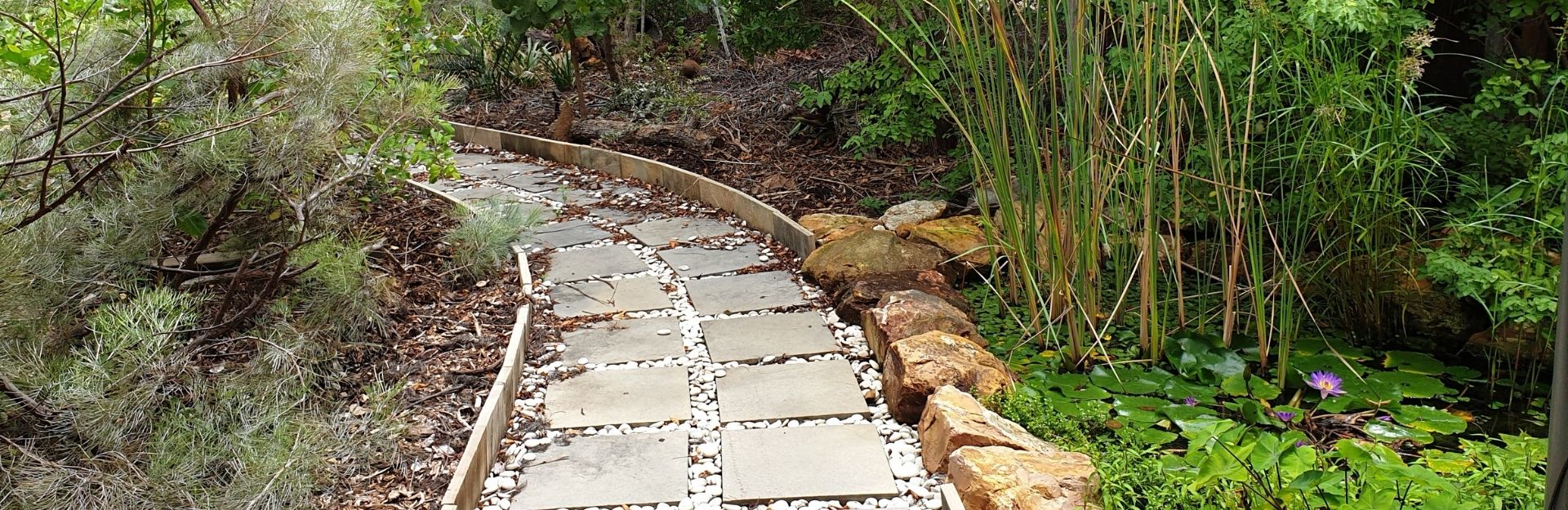 Sustainable House Day - Open Native, Edible & Verge Garden